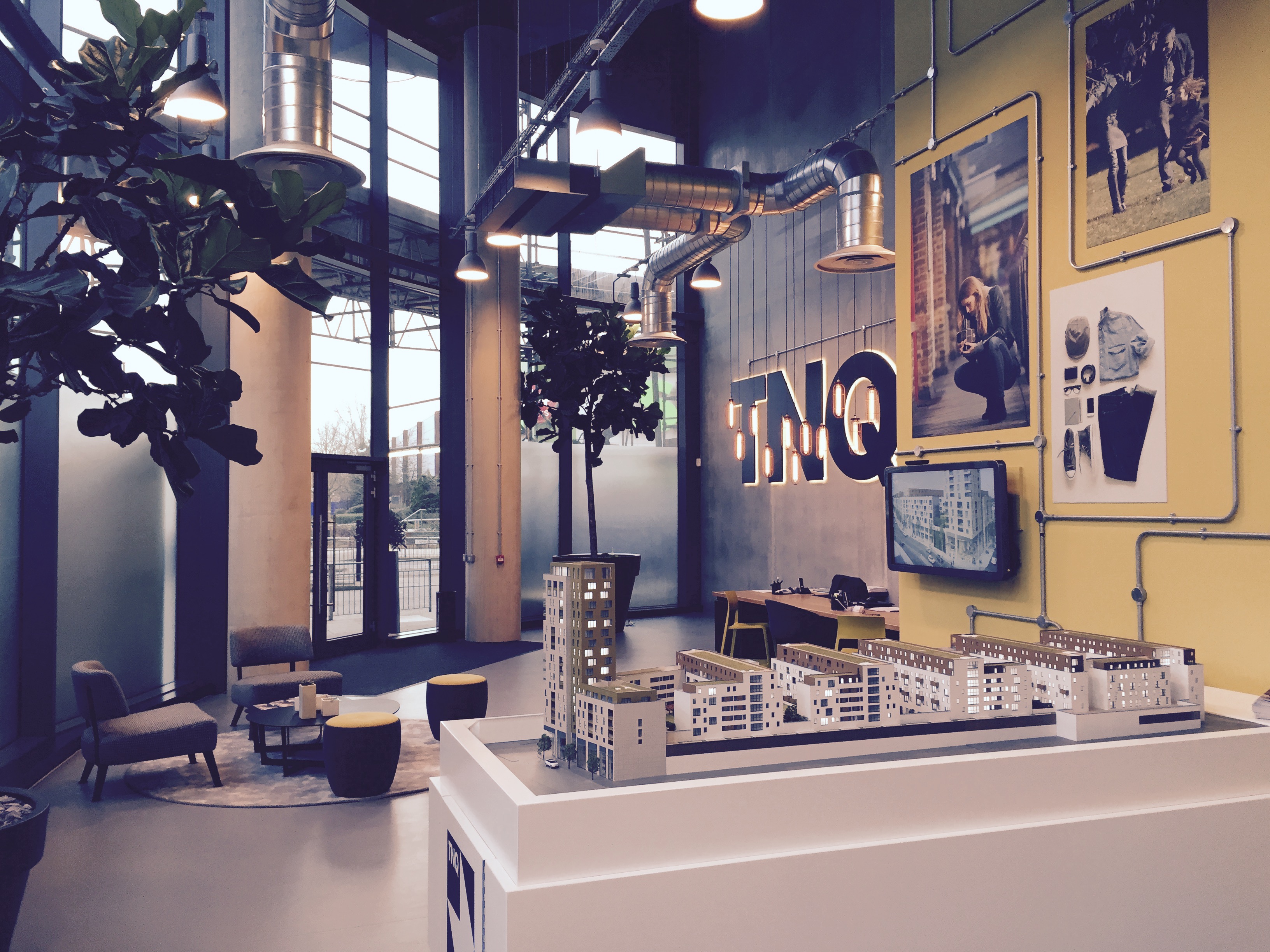 Launch of TNQ! - NEAT Developments